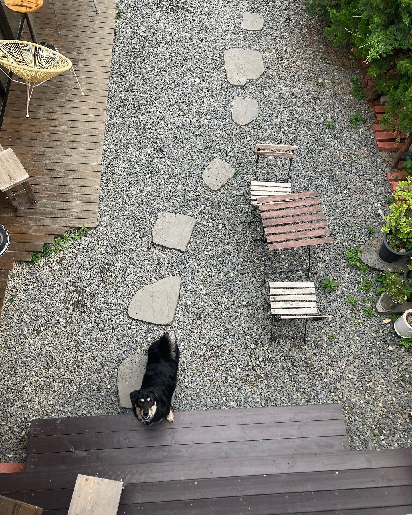 Drop-off Points – 1000 Drawings – Daejeon