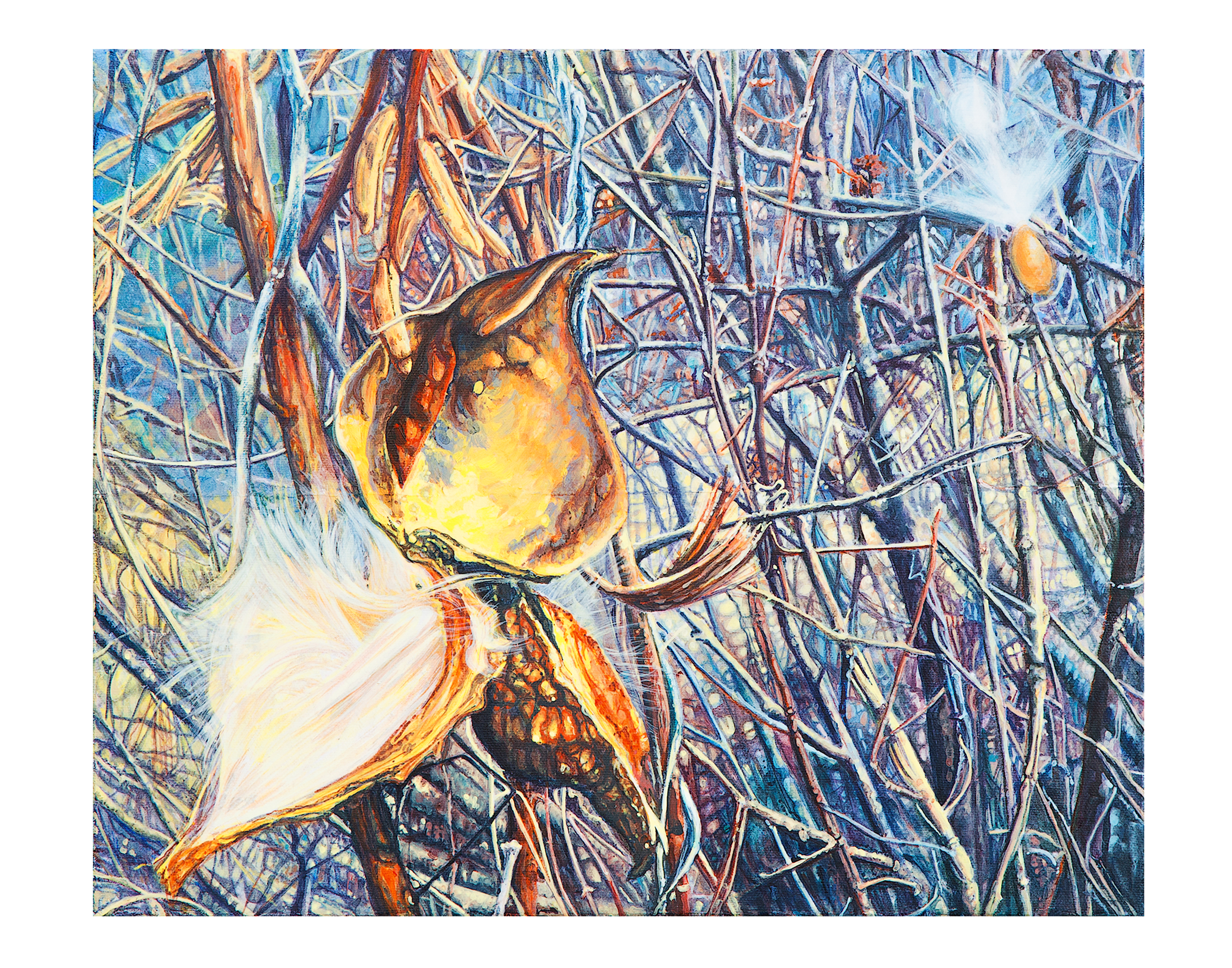 February – Wendy Morison – 1000 Drawings – Daejeon
